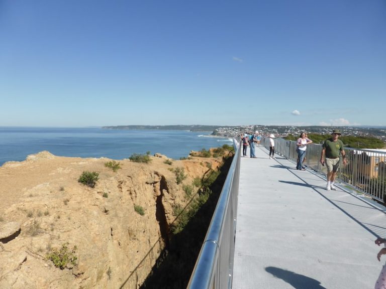 Views & ANZAC History on the Newcastle Memorial Walk - Newy with Kids