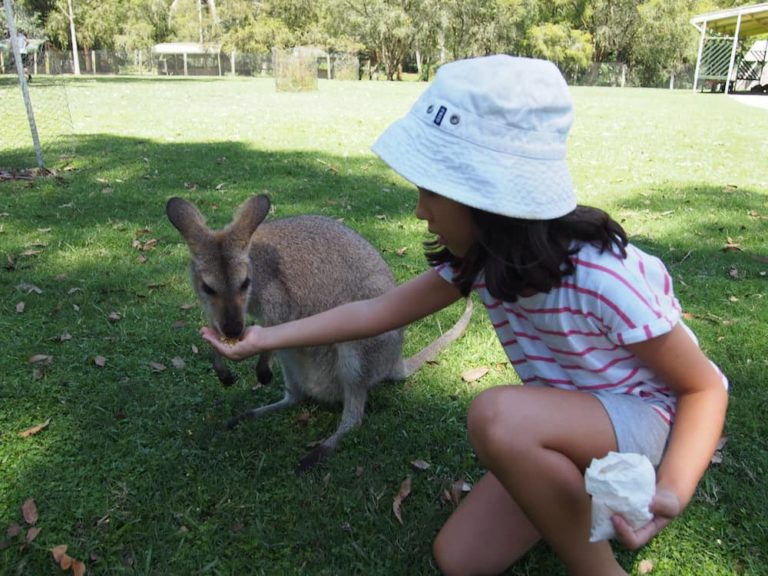 Top Things to Do in Port Macquarie for Family Fun - Newy with Kids