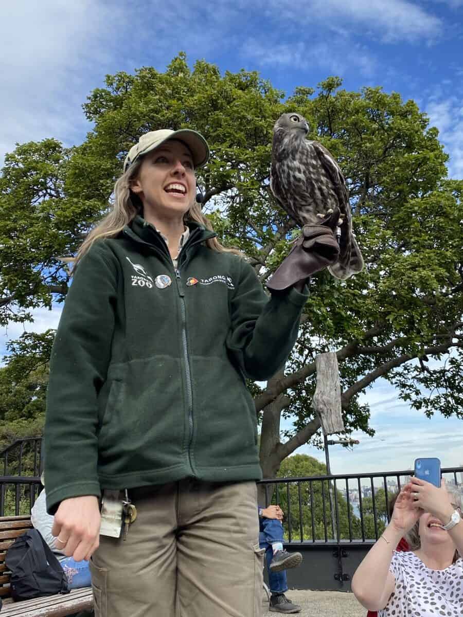 Taronga Zoo Sydney: Tips for a Great Day Out with Kids | Newy with Kids