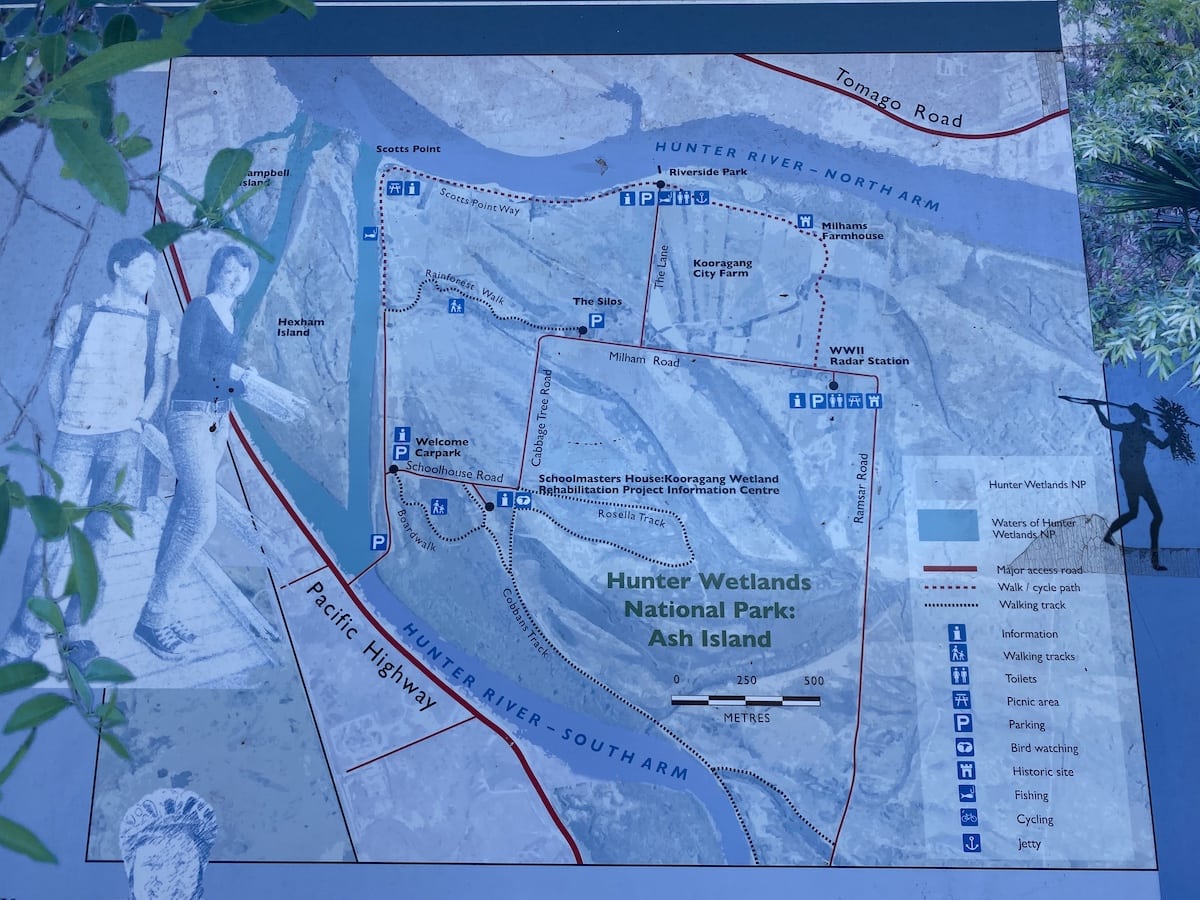Enjoy a Nature Day Out at Kooragang Wetlands in Hunter Wetlands ...