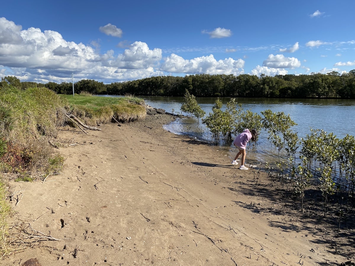 Enjoy a Nature Day Out at Kooragang Wetlands in Hunter Wetlands ...