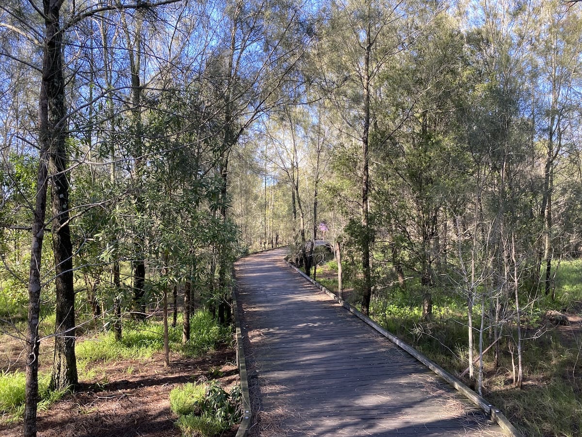 Enjoy a Nature Day Out at Kooragang Wetlands in Hunter Wetlands ...