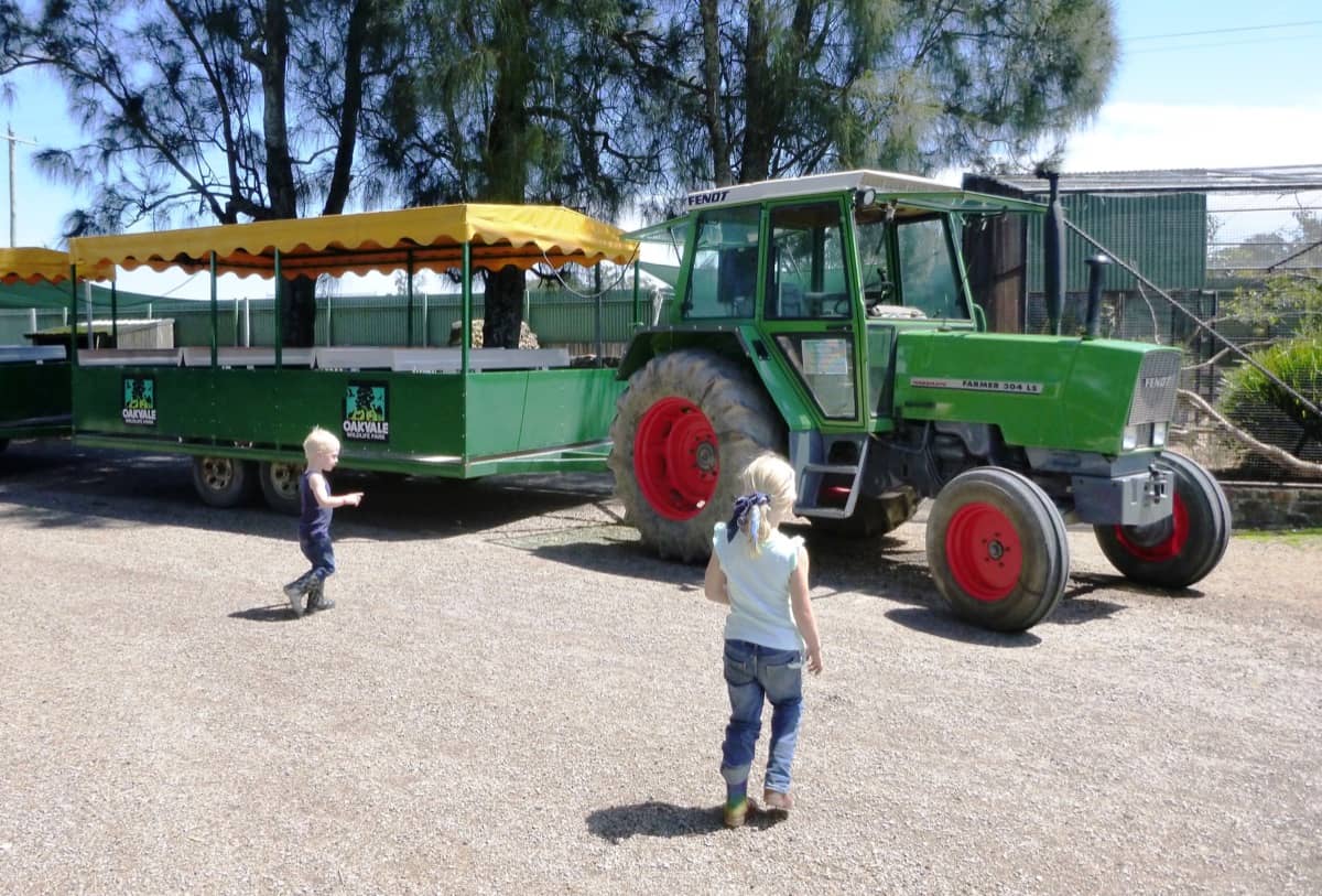 Oakvale Wildlife Park: Get Up Close to Animals - Newy with Kids