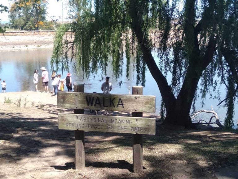 15+ Things to Do in Maitland With Kids - Newy with Kids