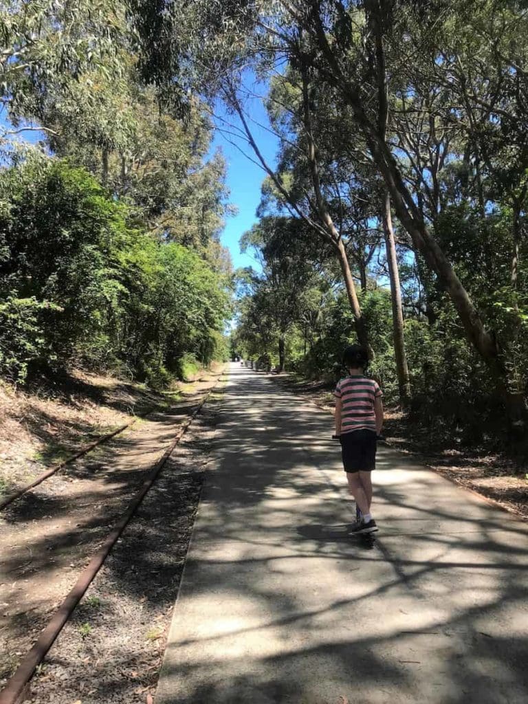 Fernleigh Track: Enjoy Nature, History and a Tunnel Along This Cycle ...