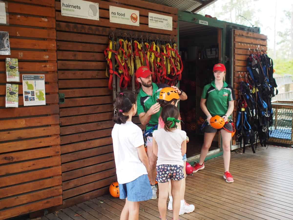 Newcastle Treetops Adventure Park: Fun, Nature and Thrills for Kids ...