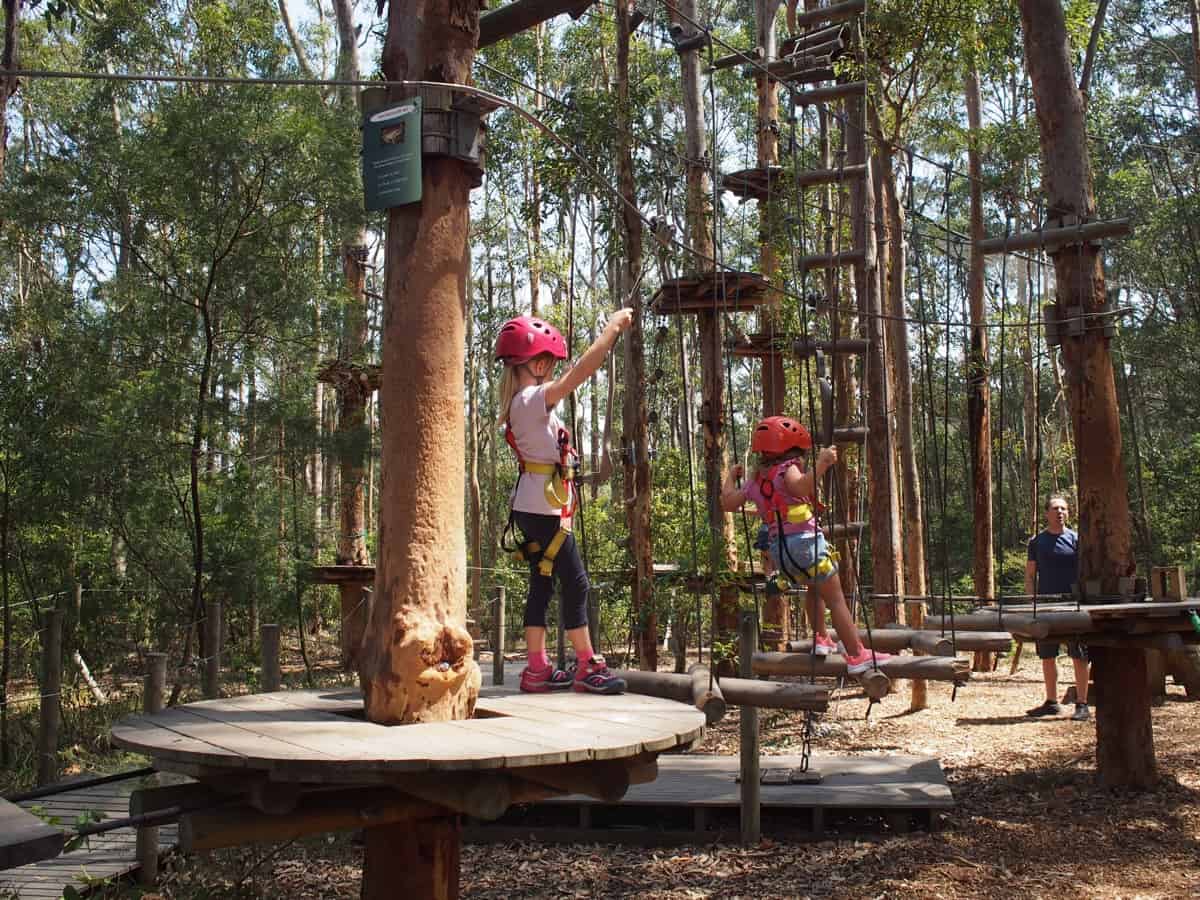 Newcastle Treetops Adventure Park: Fun, Nature and Thrills for Kids ...
