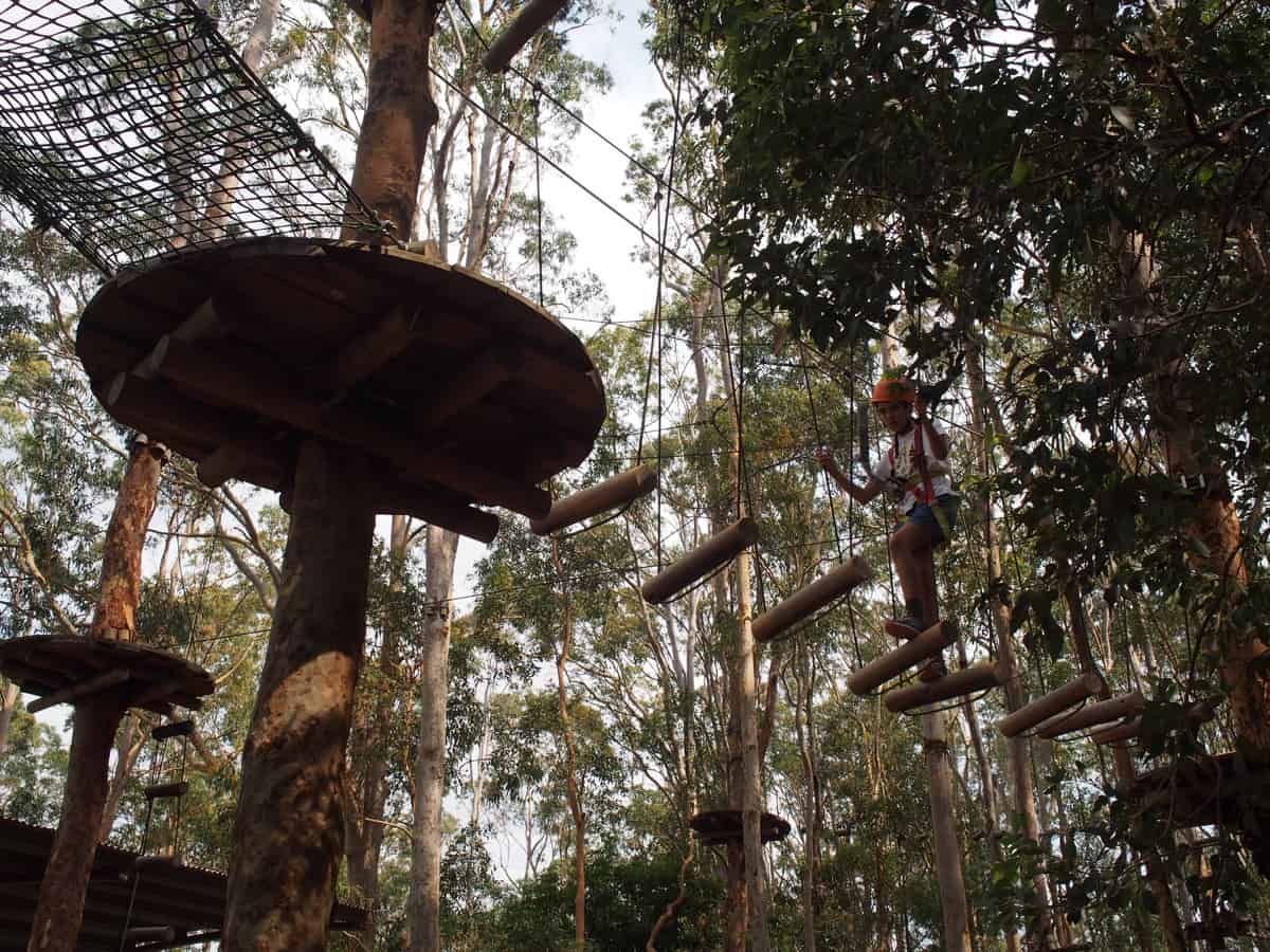 Newcastle Treetops Adventure Park: Fun, Nature and Thrills for Kids ...