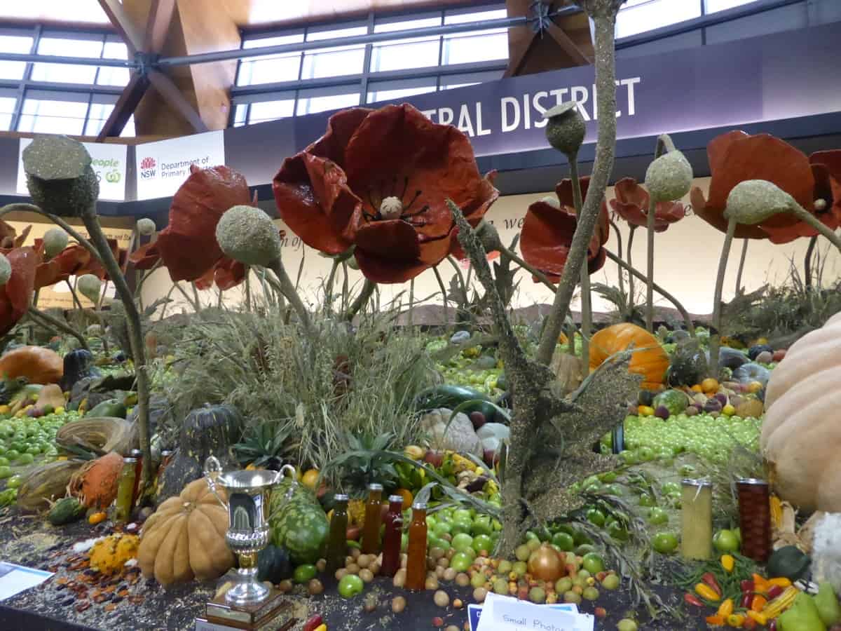 Our Best Tips for a Great Family Day Out at the 2025 Sydney Royal ...