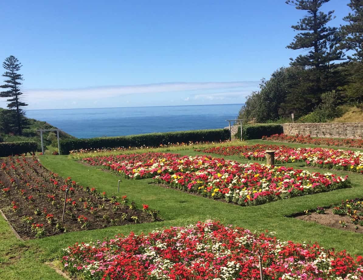 Best Picnic Spots in Newcastle, Lake Macquarie & the Hunter - Newy with ...