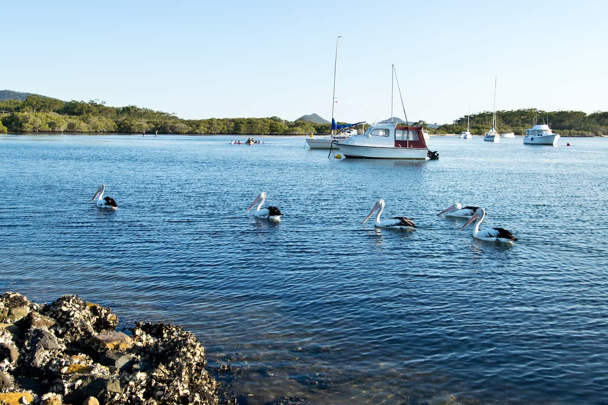 The Best Day Trips From Newcastle to Enjoy With Your Family - Newy with ...