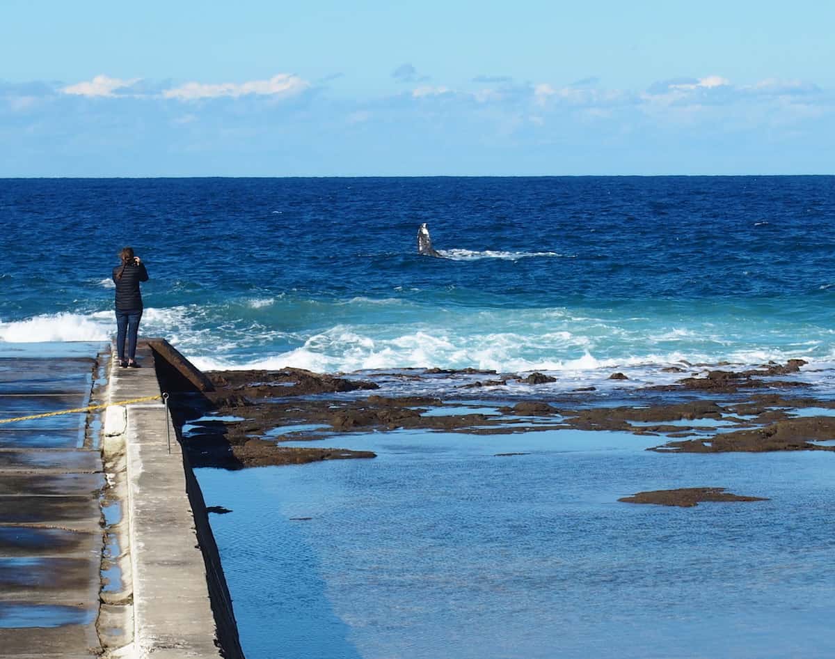 Newcastle Weather: Plan Your Day, Weekend or Week With a Forecast ...