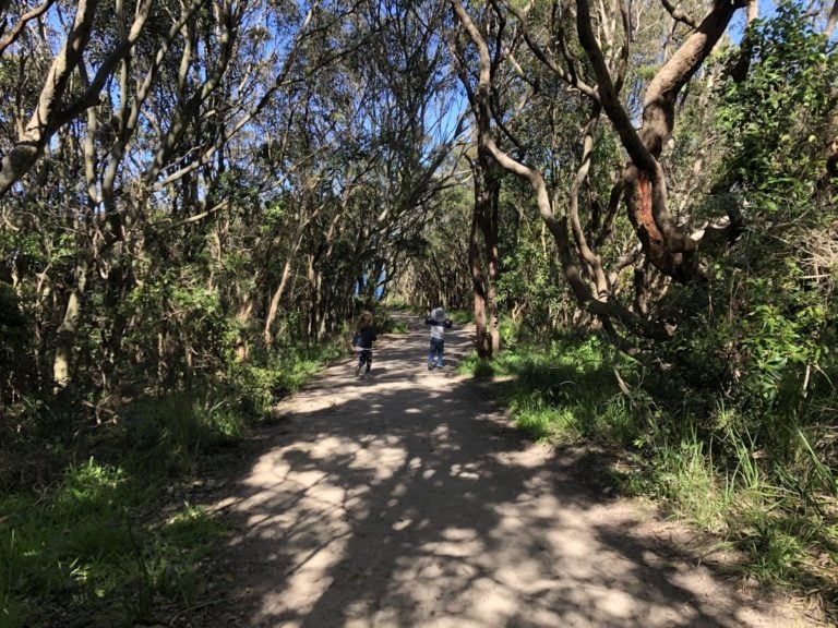 Hickson Street Track: Spectacular Views on Merewether Walk - Newy with Kids