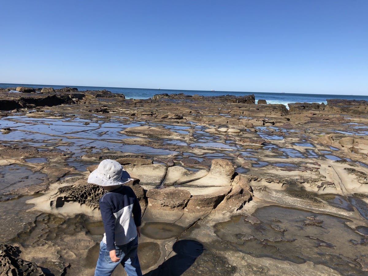 Hickson Street Track: Spectacular Views on Merewether Walk - Newy with Kids