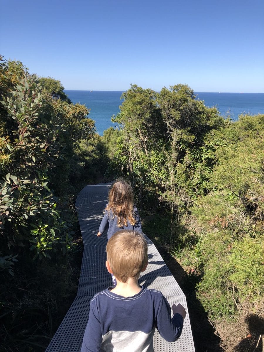 Hickson Street Track: Spectacular Views on Merewether Walk - Newy with Kids