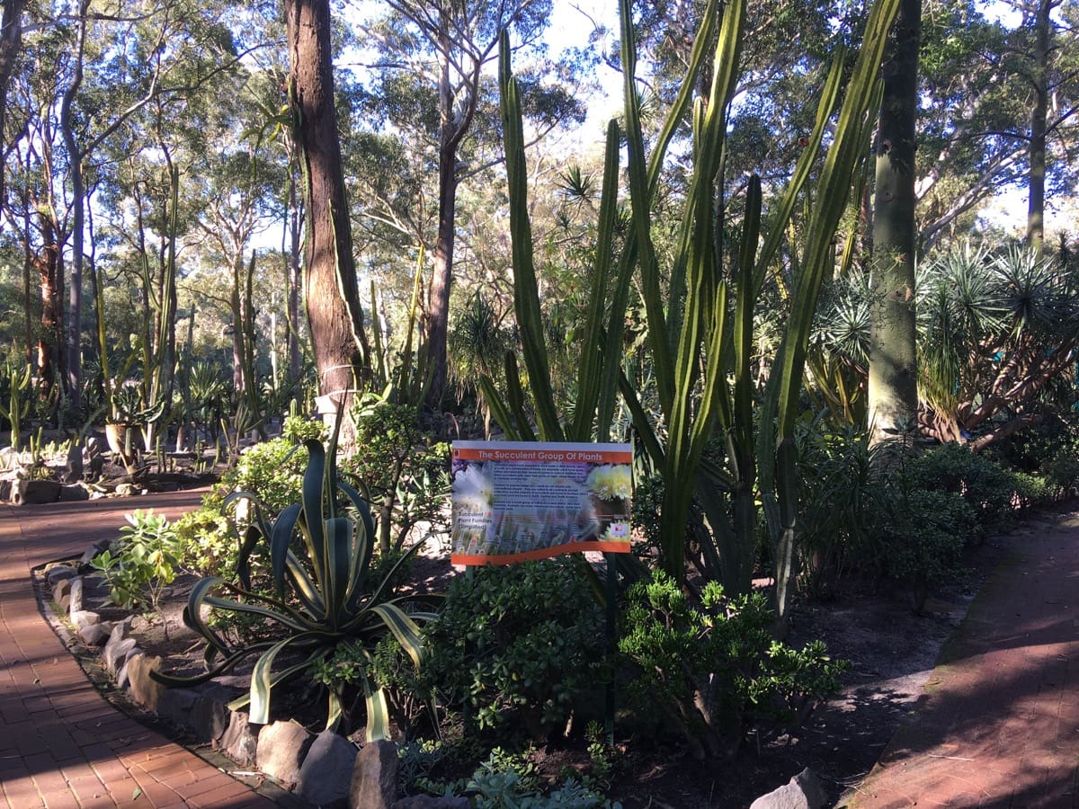 Hunter Region Botanic Gardens: Fun Nature Day Out - Newy with Kids