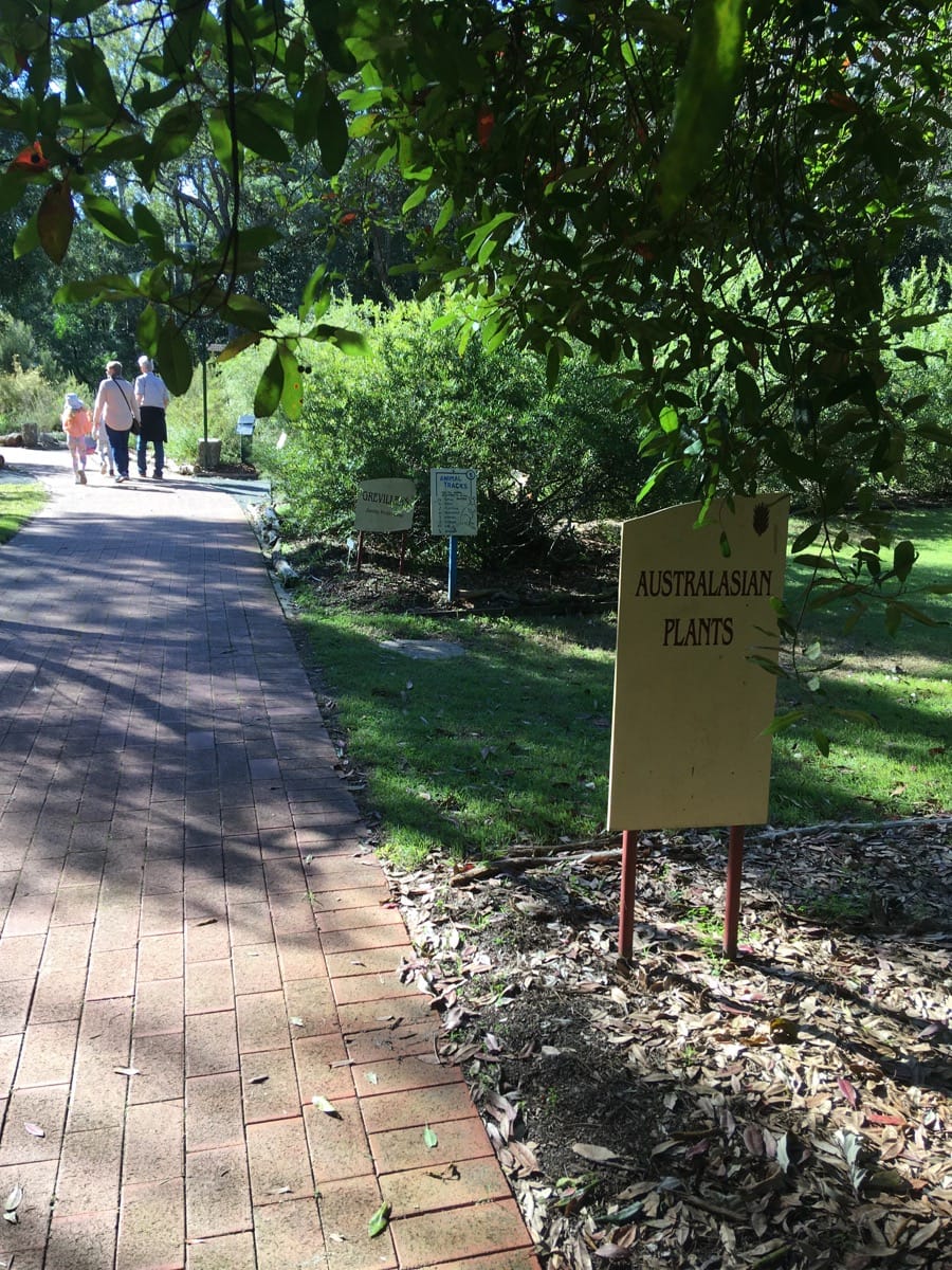 Hunter Region Botanic Gardens: Fun Nature Day Out - Newy with Kids