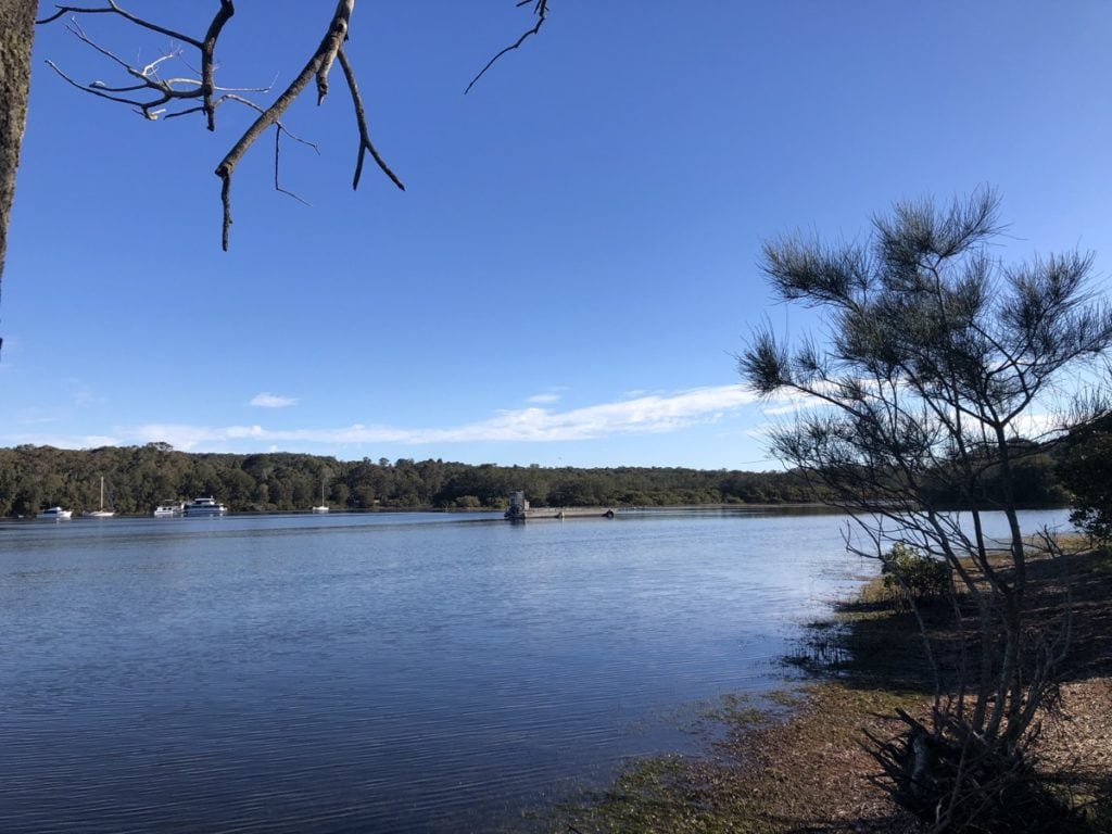 Go For a Short Bushwalk on Kilaben Bay Nature Walk - Newy with Kids
