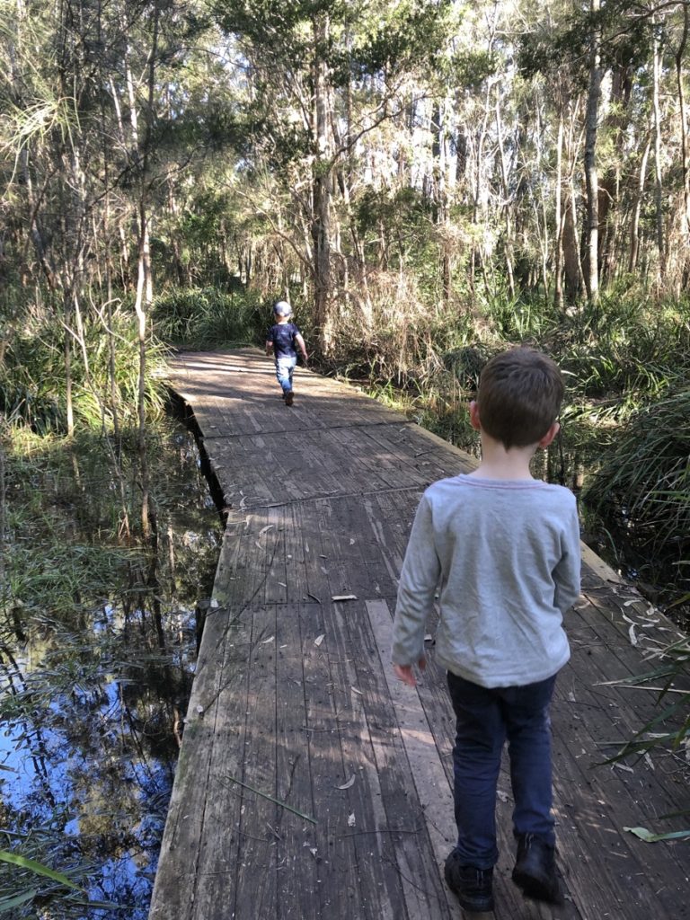 Go For a Short Bushwalk on Kilaben Bay Nature Walk - Newy with Kids