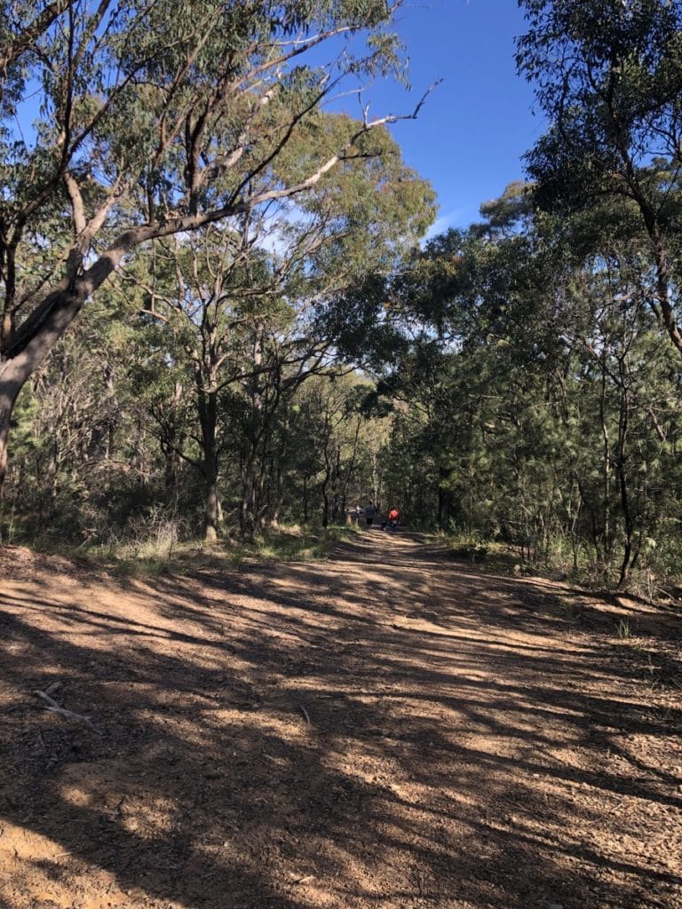 Go For a Short Bushwalk on Kilaben Bay Nature Walk - Newy with Kids