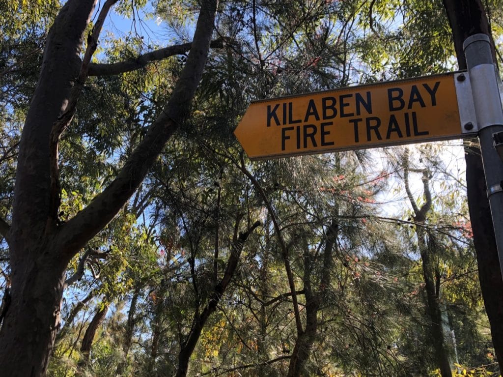 Go For a Short Bushwalk on Kilaben Bay Nature Walk - Newy with Kids