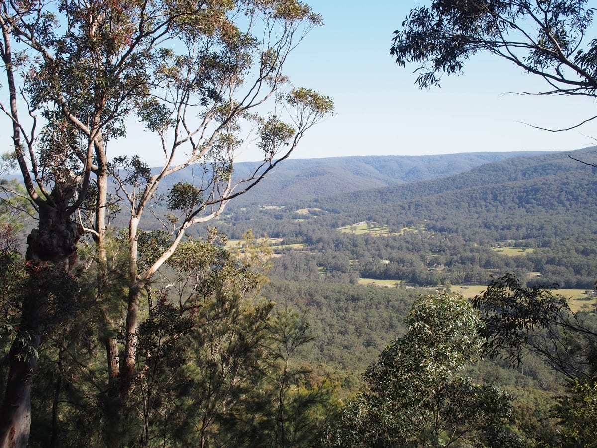 Gap Creek Falls & Watagans Walks: Guide to Tracks, Lookouts & Current ...