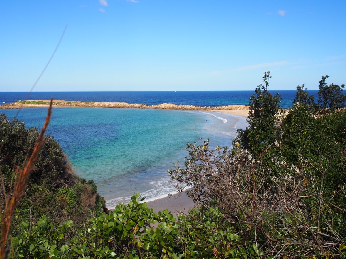 From Caves Beach to Pinny Beach: A Stunning Coastal Walk - Newy with Kids