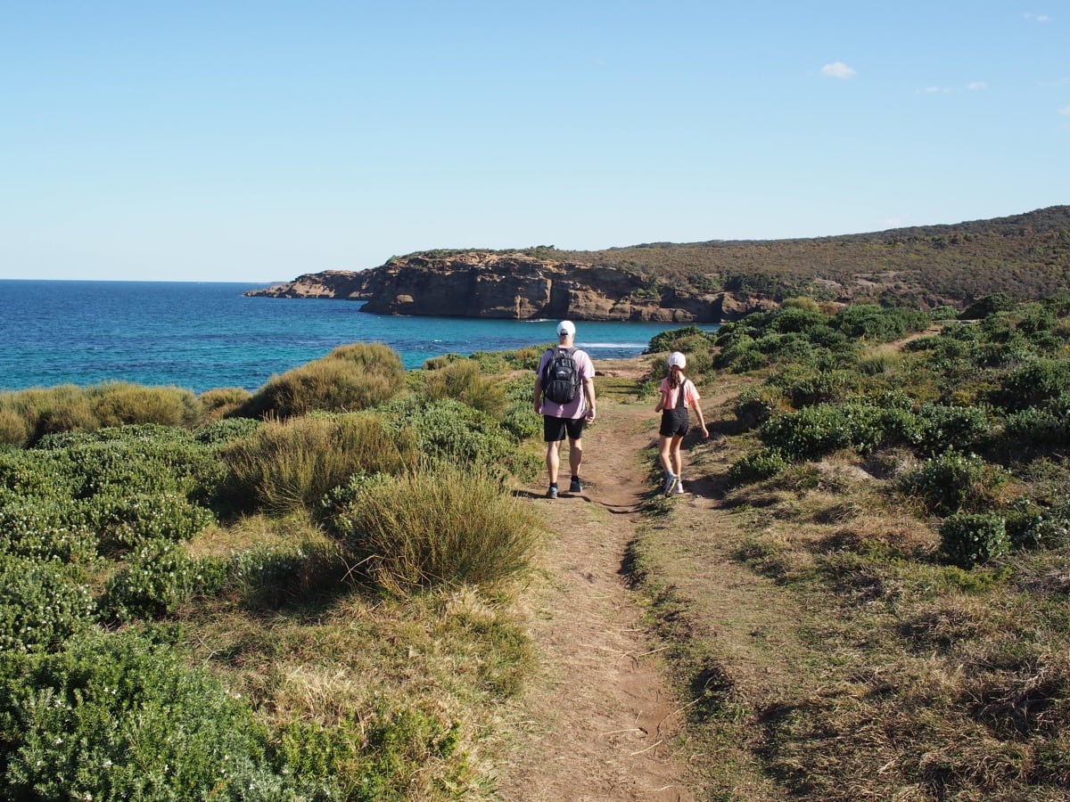 From Caves Beach to Pinny Beach: A Stunning Coastal Walk - Newy with Kids