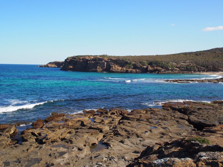 From Caves Beach to Pinny Beach: A Stunning Coastal Walk - Newy with Kids