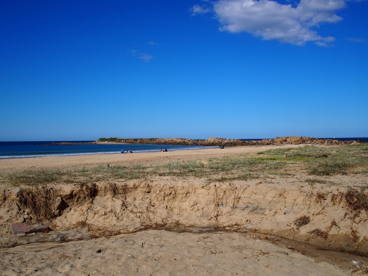 From Caves Beach to Pinny Beach: A Stunning Coastal Walk - Newy with Kids