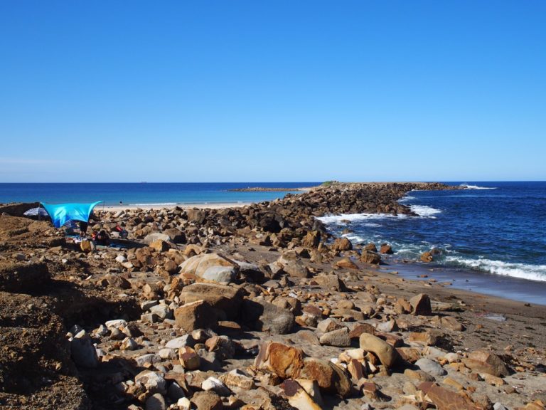 From Caves Beach to Pinny Beach: A Stunning Coastal Walk - Newy with Kids