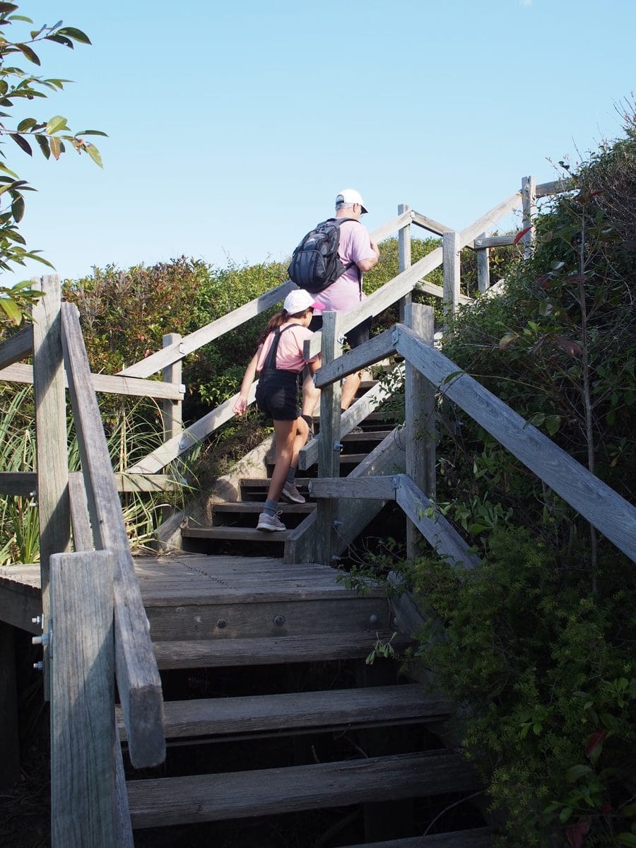 From Caves Beach to Pinny Beach: A Stunning Coastal Walk - Newy with Kids