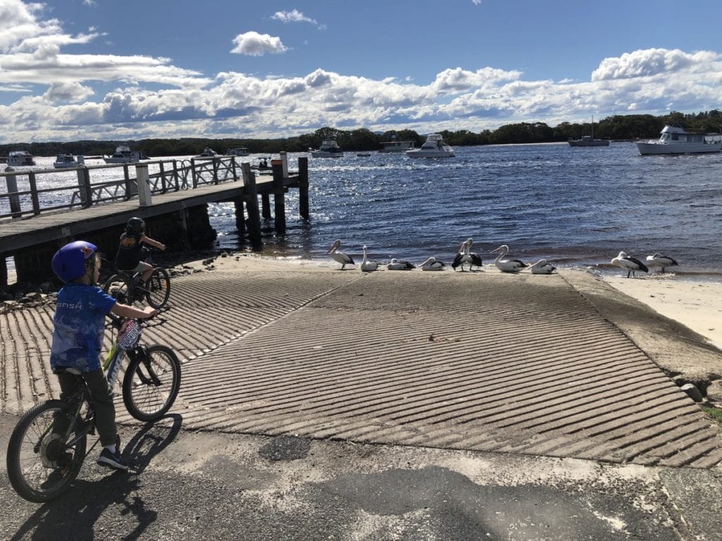 Explore Tea Gardens and Hawks Nest by Bike! - Newy with Kids