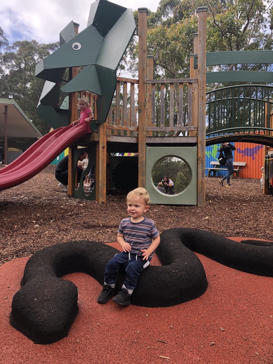 Slithering Fun: A Review of Australian Reptile Park - Newy with Kids
