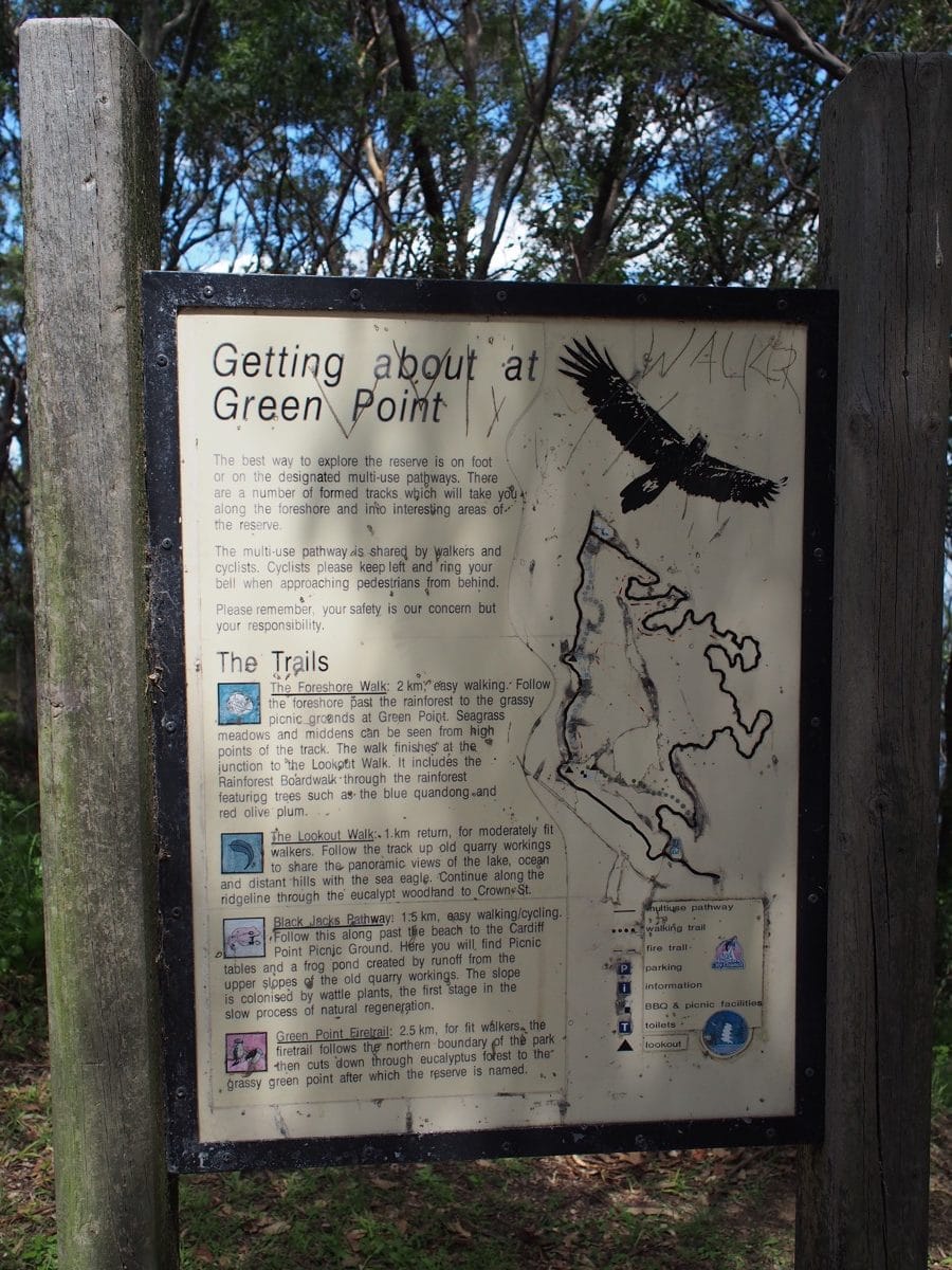 Enjoy Gorgeous Views Along Green Point Foreshore Walk in Lake Macquarie ...