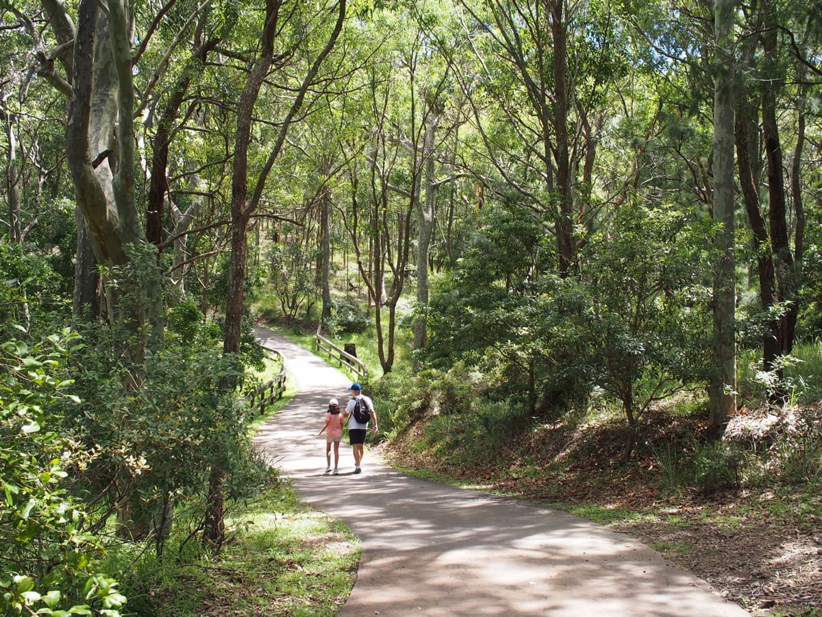 Enjoy Gorgeous Views Along Green Point Foreshore Walk in Lake Macquarie ...