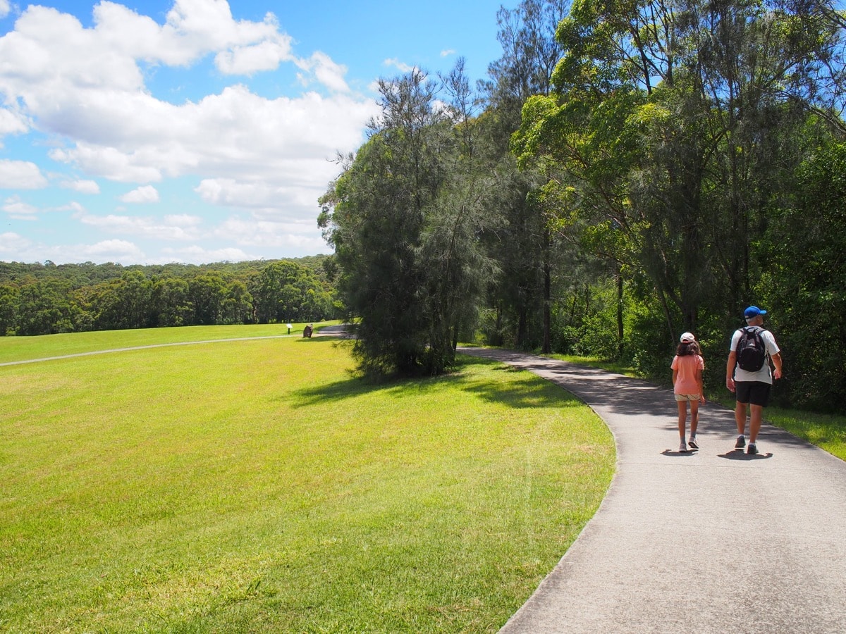 Enjoy Gorgeous Views Along Green Point Foreshore Walk in Lake Macquarie ...