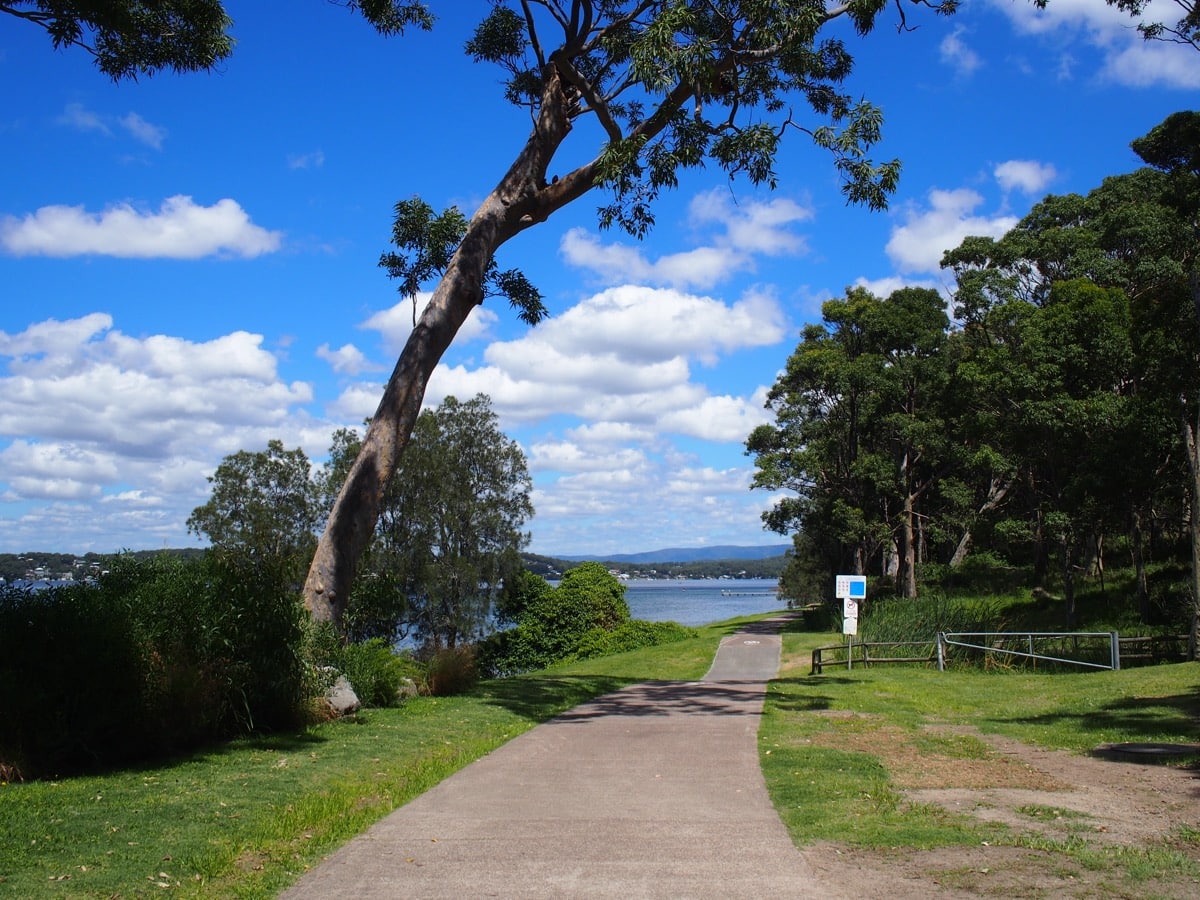 Enjoy Gorgeous Views Along Green Point Foreshore Walk in Lake Macquarie ...