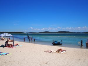 Discover Beautiful Naru Beach in Lake Macquarie - Newy with Kids