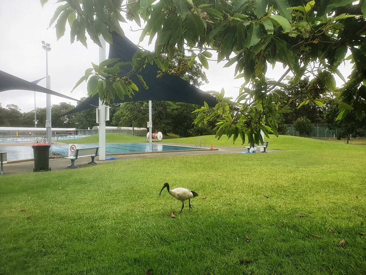 Enjoy a Swim & Waterslide at Tomaree Aquatic Centre - Newy with Kids