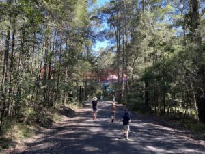 Bounce in the Treetops at Treetop NetWorld! - Newy with Kids