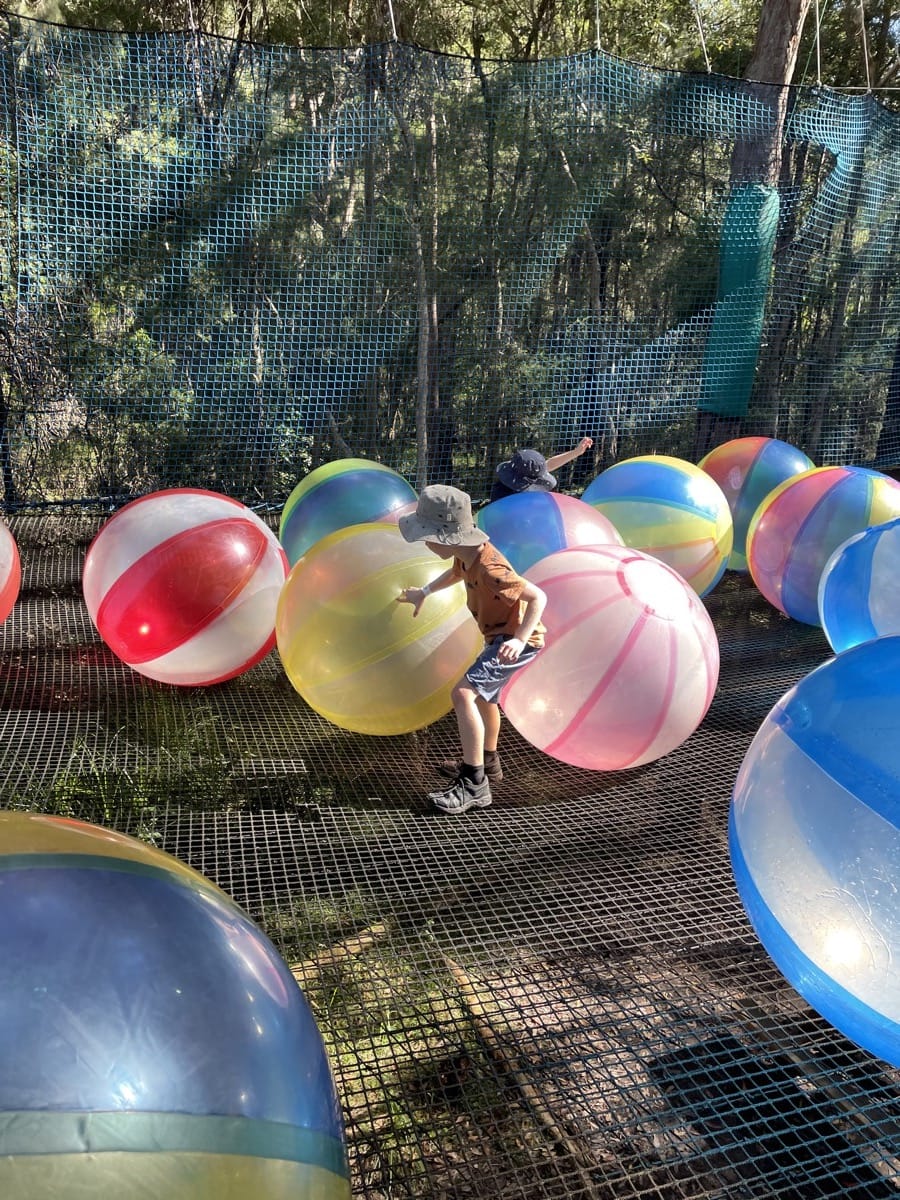 Bounce in the Treetops at Treetop NetWorld! - Newy with Kids