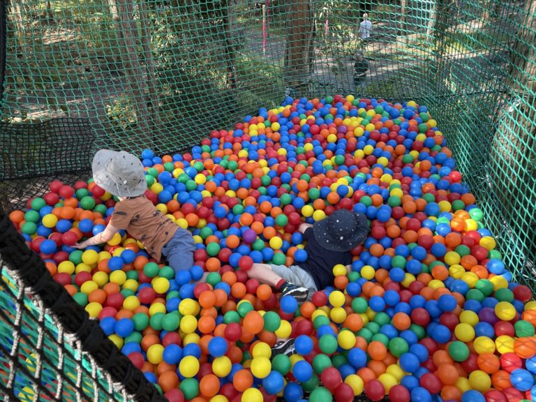 Bounce in the Treetops at Treetop NetWorld! - Newy with Kids