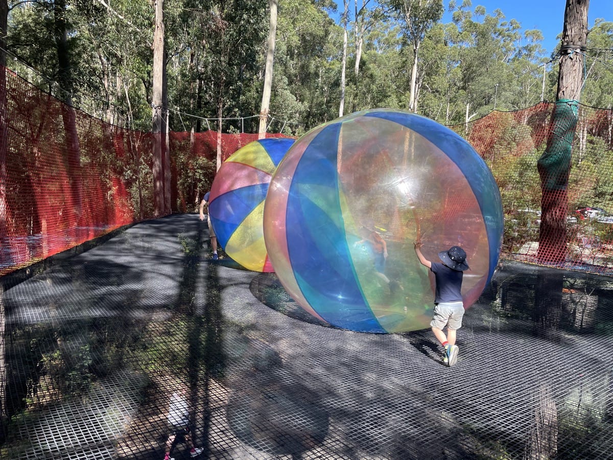 Bounce in the Treetops at Treetop NetWorld! - Newy with Kids