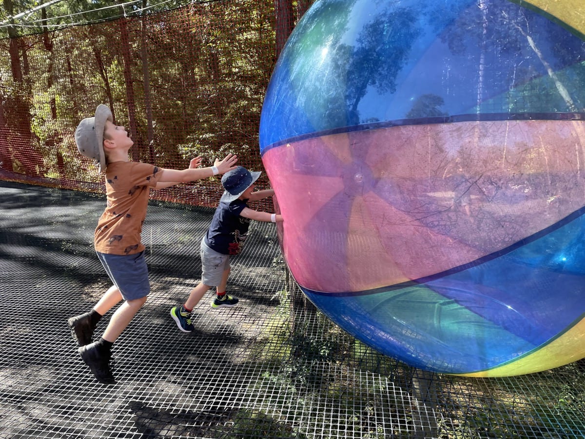 Bounce in the Treetops at Treetop NetWorld! - Newy with Kids