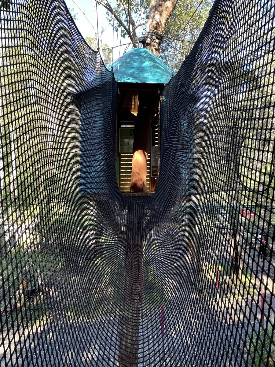 Bounce in the Treetops at Treetop NetWorld! - Newy with Kids