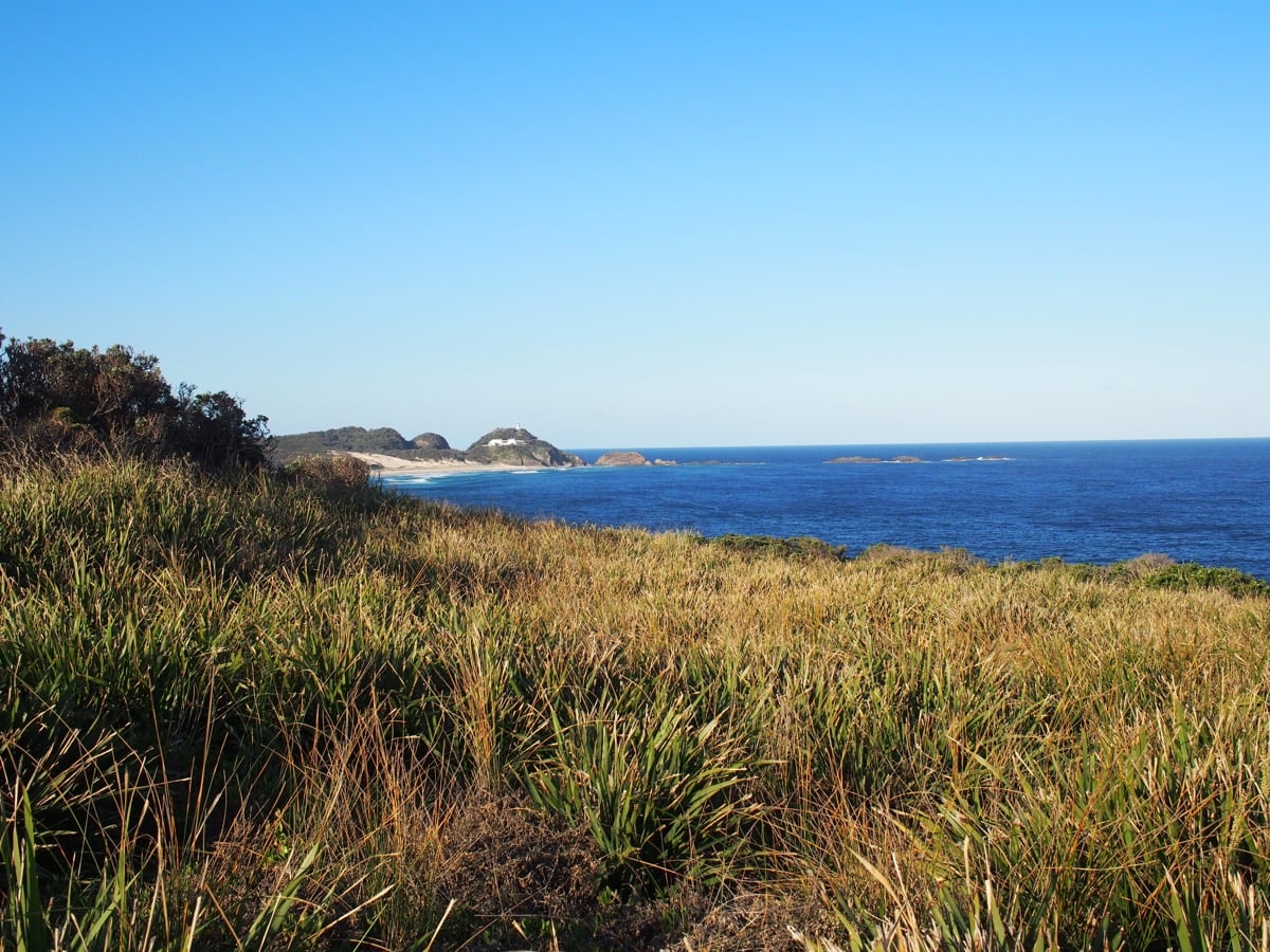 Seal Rocks: Lighthouse, Beaches & Nature - Newy with Kids