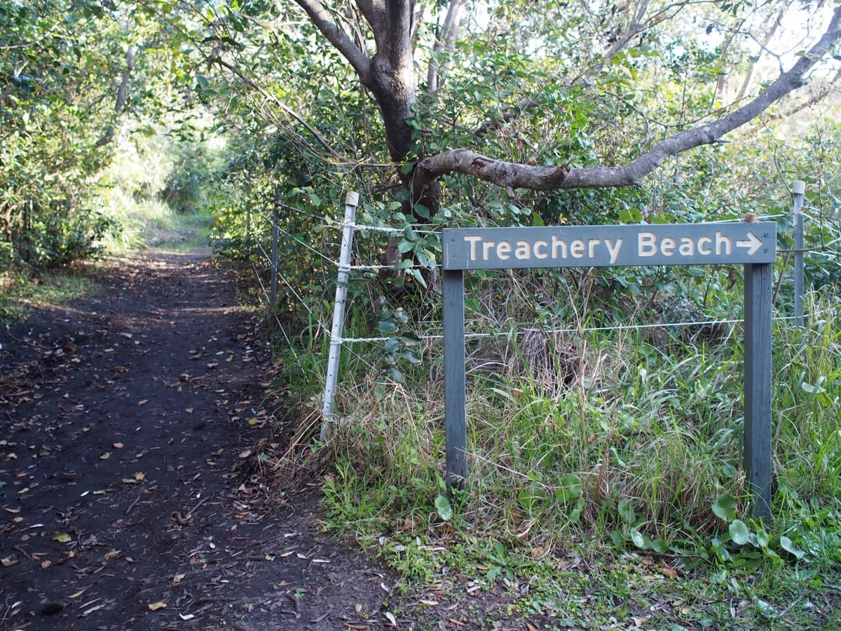 Seal Rocks: Lighthouse, Beaches & Nature - Newy with Kids