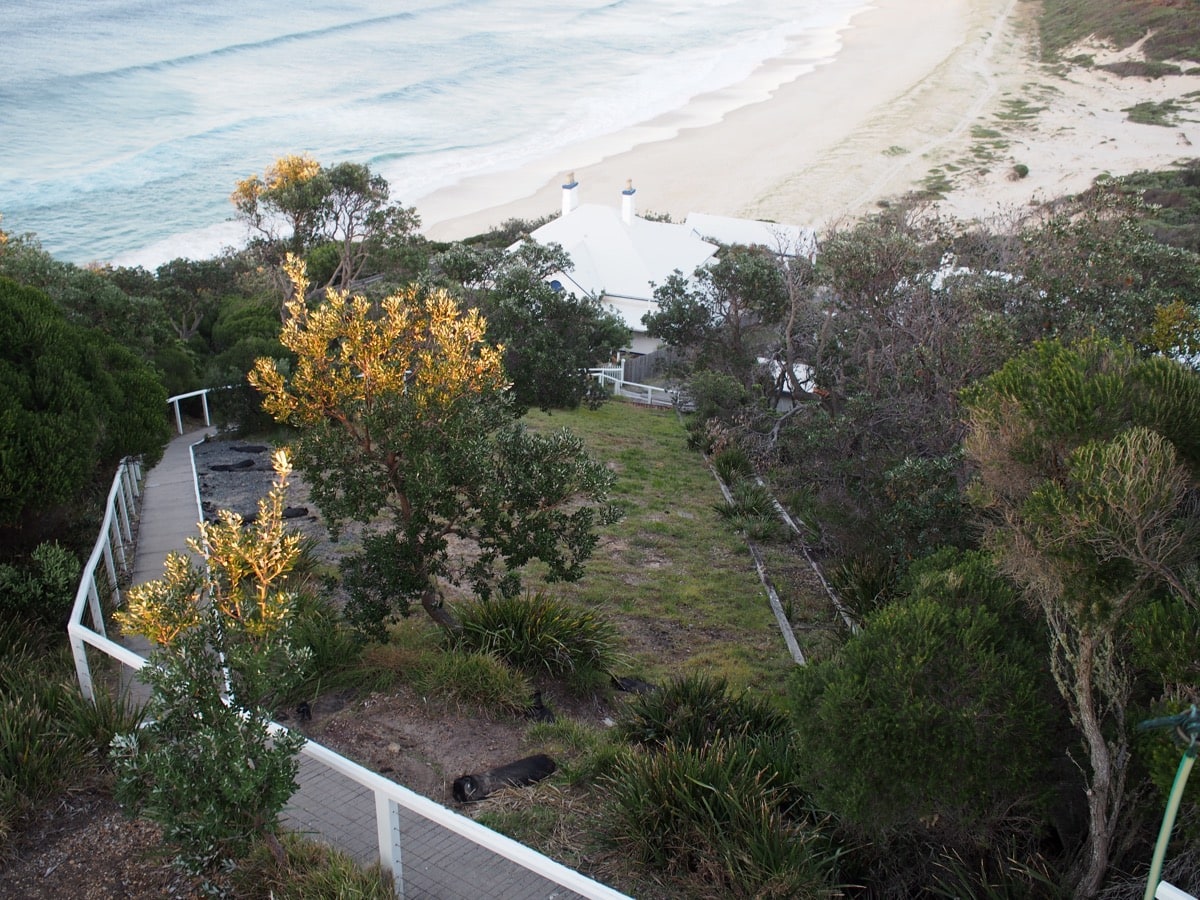 Seal Rocks: Lighthouse, Beaches & Nature - Newy with Kids