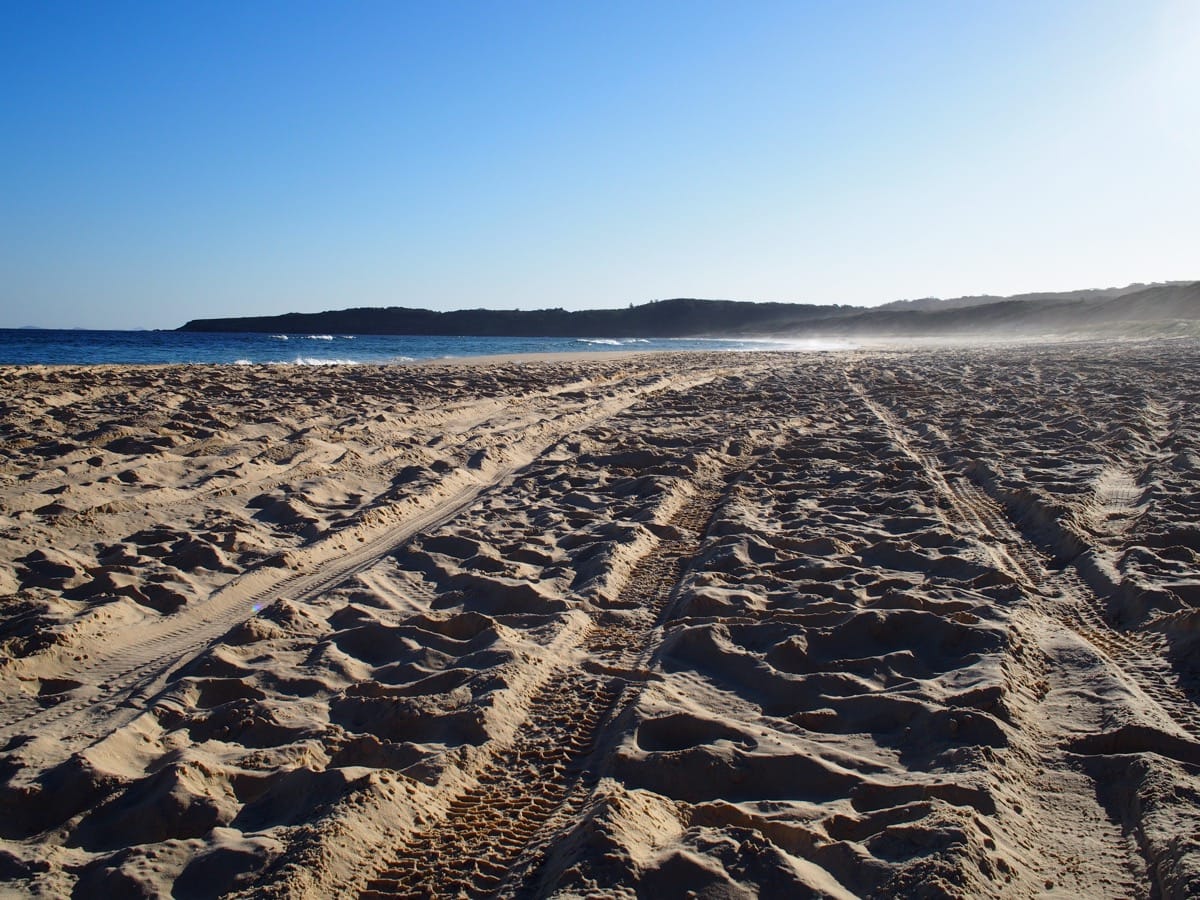 Seal Rocks: Lighthouse, Beaches & Nature - Newy with Kids